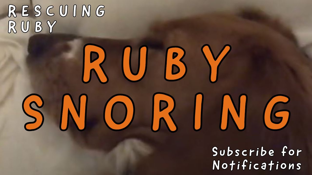 ruby snoring | Sofia (supermama) from Takis Shelter - YouTube