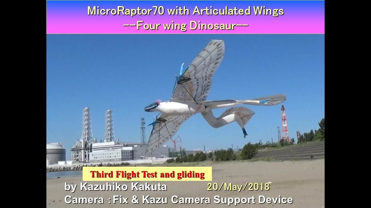 MicroRaptor70 with Articulated Wings-Four wing Dinosaur-: 3rd Flight ...