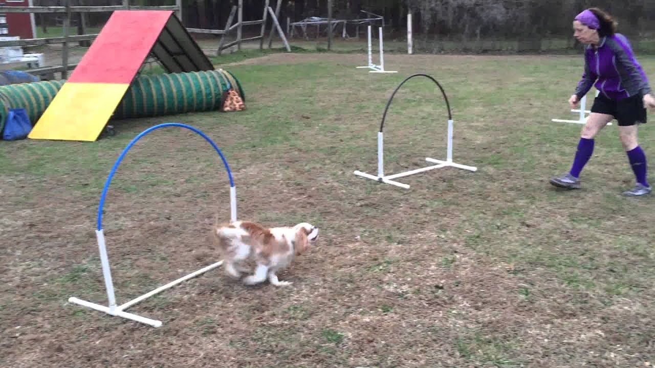 Emmy 12/15/15, Regular 1, Elite, Frosty 2 - YouTube