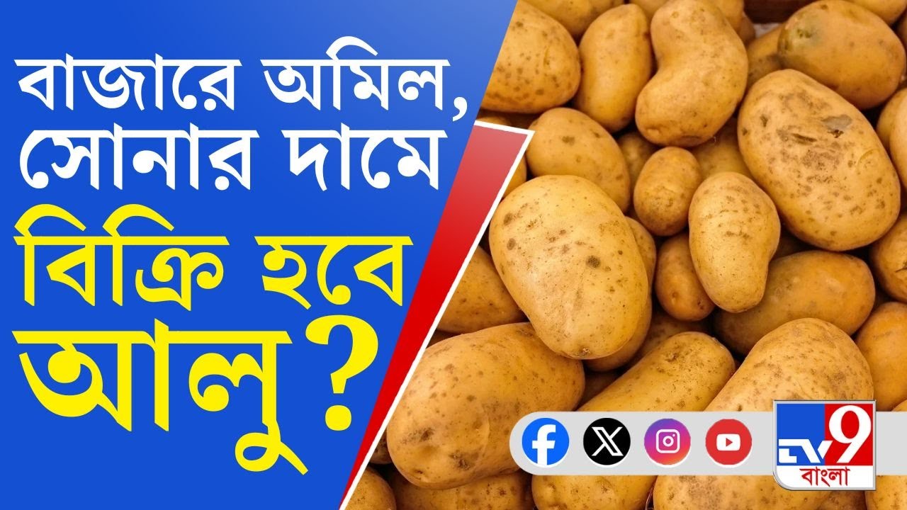 West Bengal Potato Price Hike: হিমঘর খোলা, তাও আলু বেরোচ্ছে না বাজারে ...