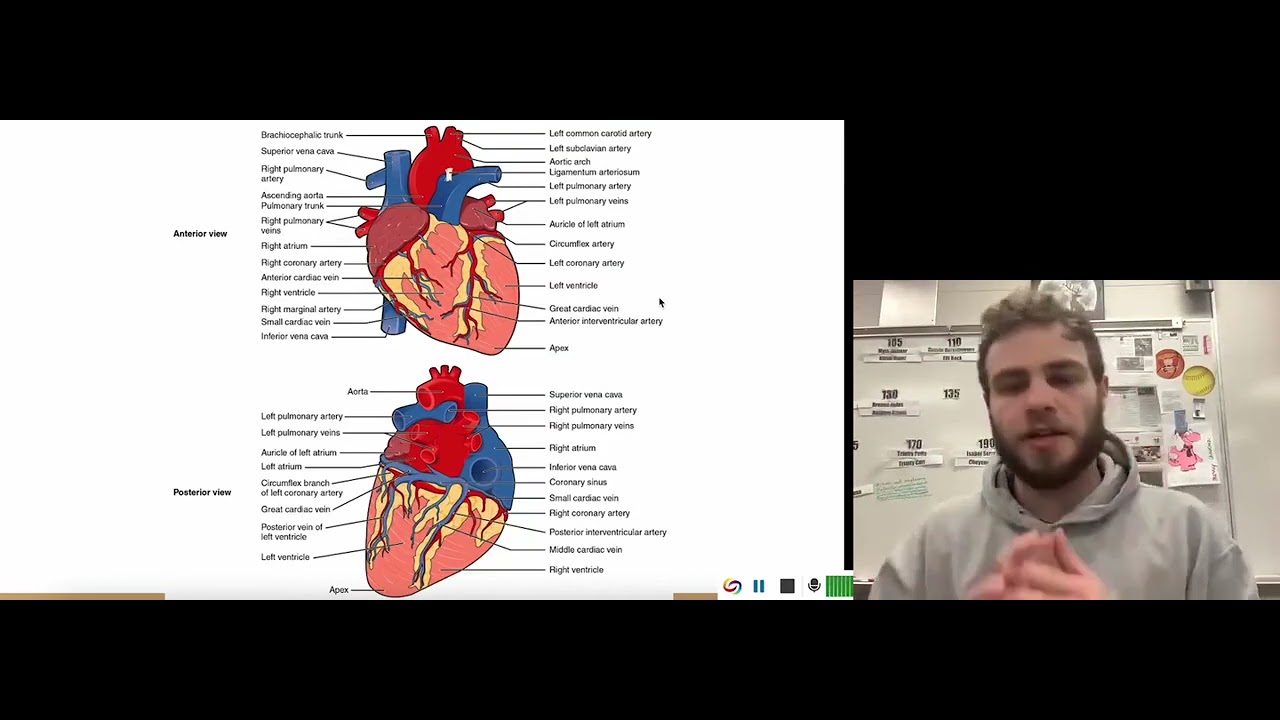 Supplementary video 19.1 - YouTube