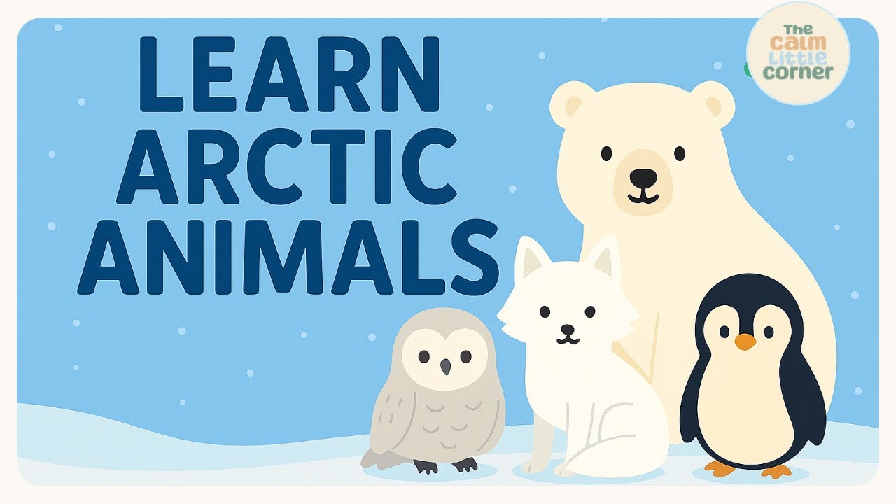 Learn Arctic Animals | Calm Learning Video for Toddlers - YouTube
