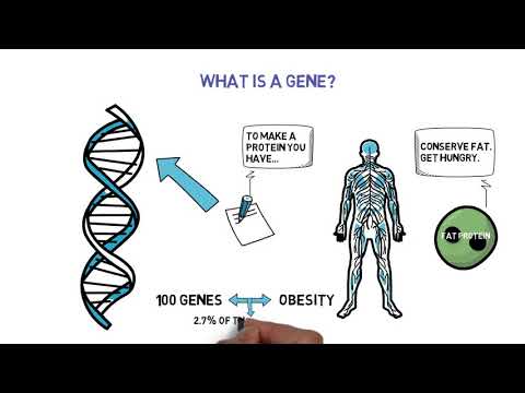 Do your genes actually affect your weight? - YouTube