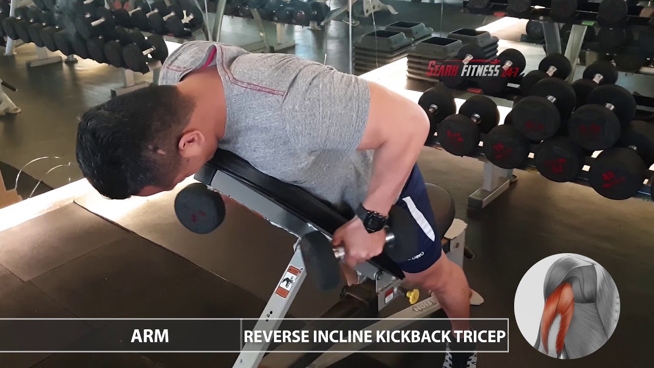 Triceps full - dumbbell - reverse incline kickback triceps - YouTube