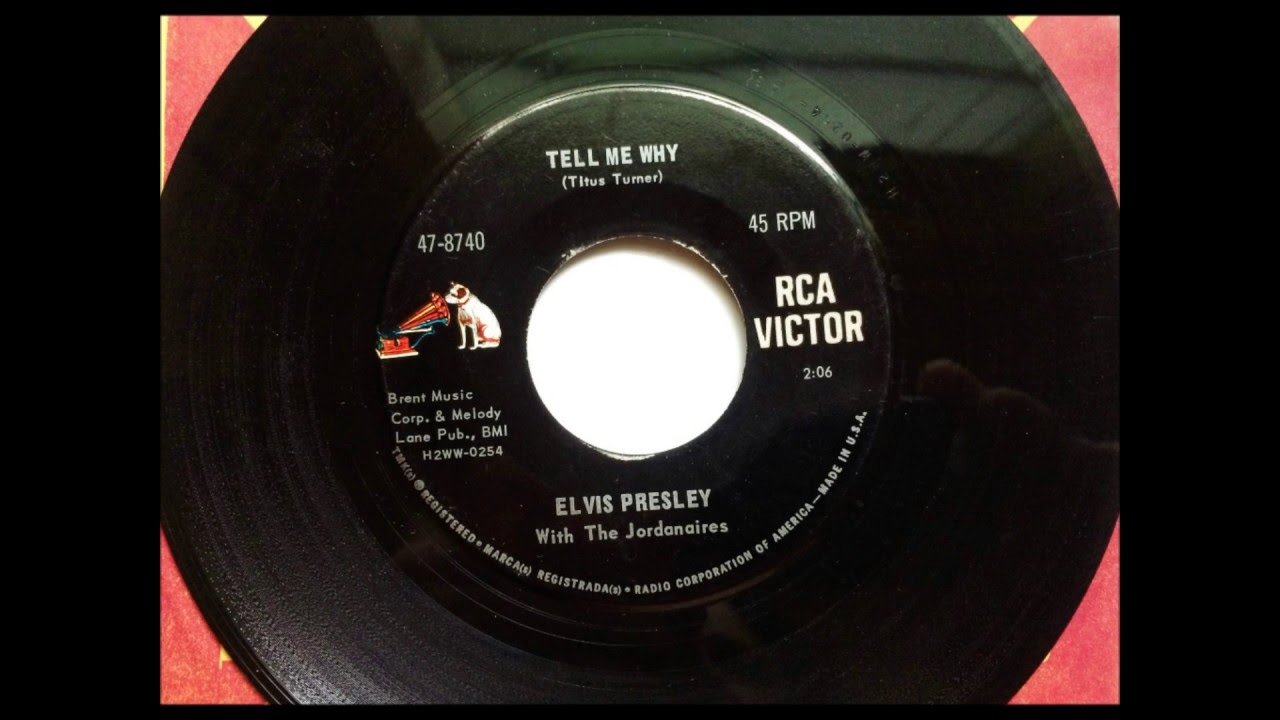 Tell Me Why , Elvis Presley , 1966 - YouTube