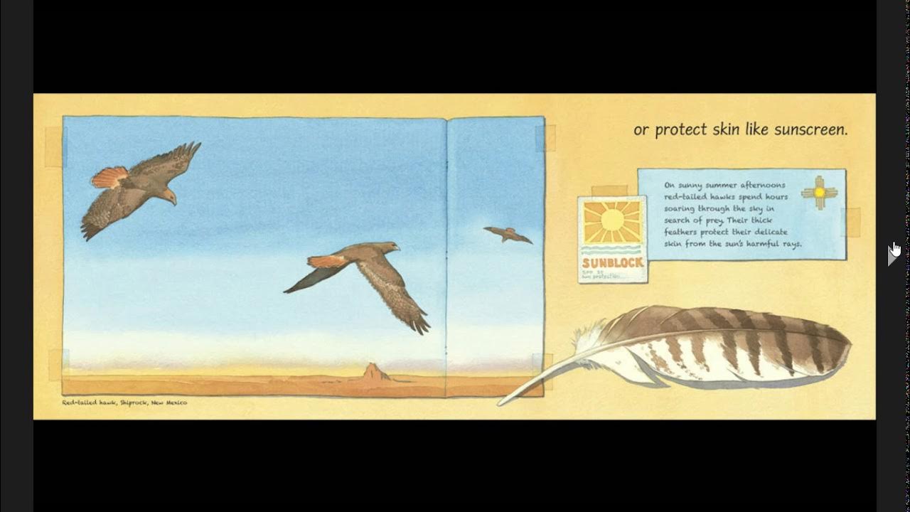 Feathers Not Just for Flying 2-9 - YouTube