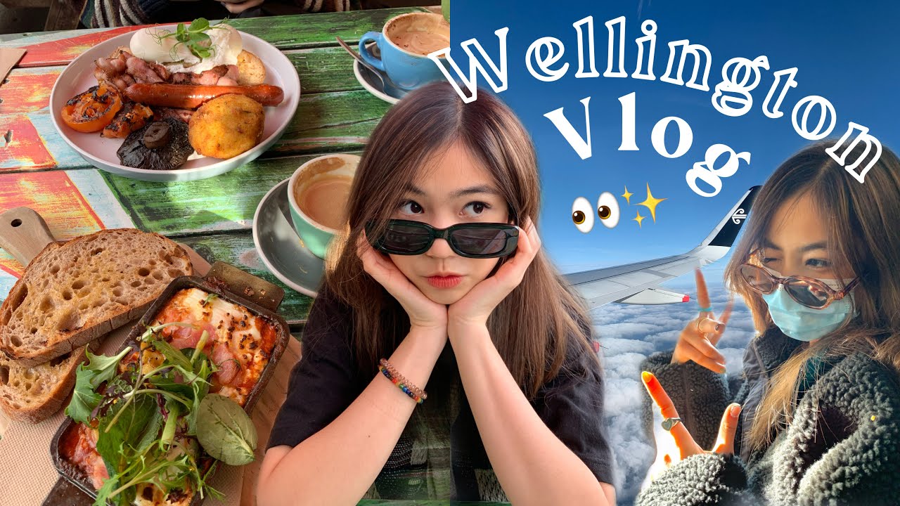 Smiley's VLOG 🇳🇿 เที่ยวเล่นที่ประเทศนิวซีแลนด์ 👀 🎬(ENG CC) - YouTube