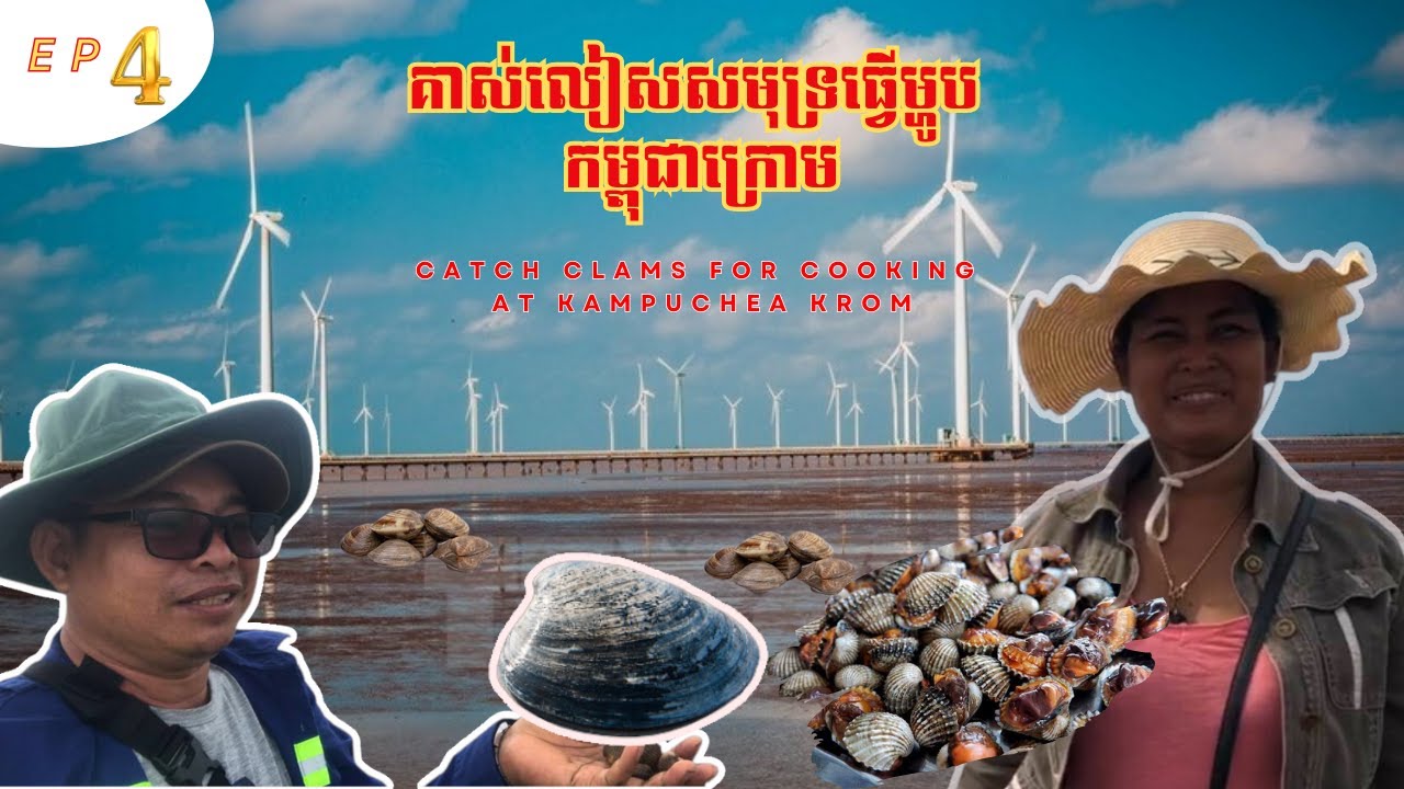 Catch clams for cooking at Kampuchea Krom ...