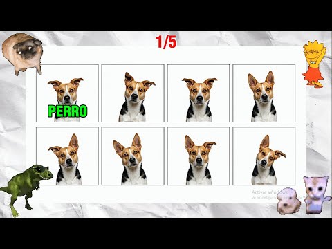 Di La Palabra Al Ritmo EN INGLÉS (Say The Word On Beat Challenge) Nivel 1-3 Fácil, Medio y Difícil