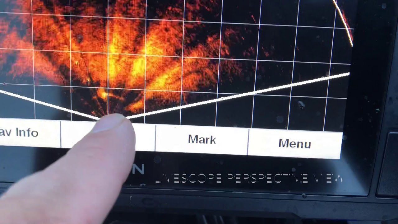 Garmin Livescope Perspective View - YouTube