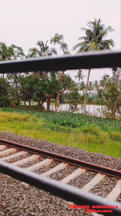 mini VlOG-12-Back To Home🏠💃 #minivlog#bengali#ytshorts#shorts#shortfeed#home#love#trainjourney ...