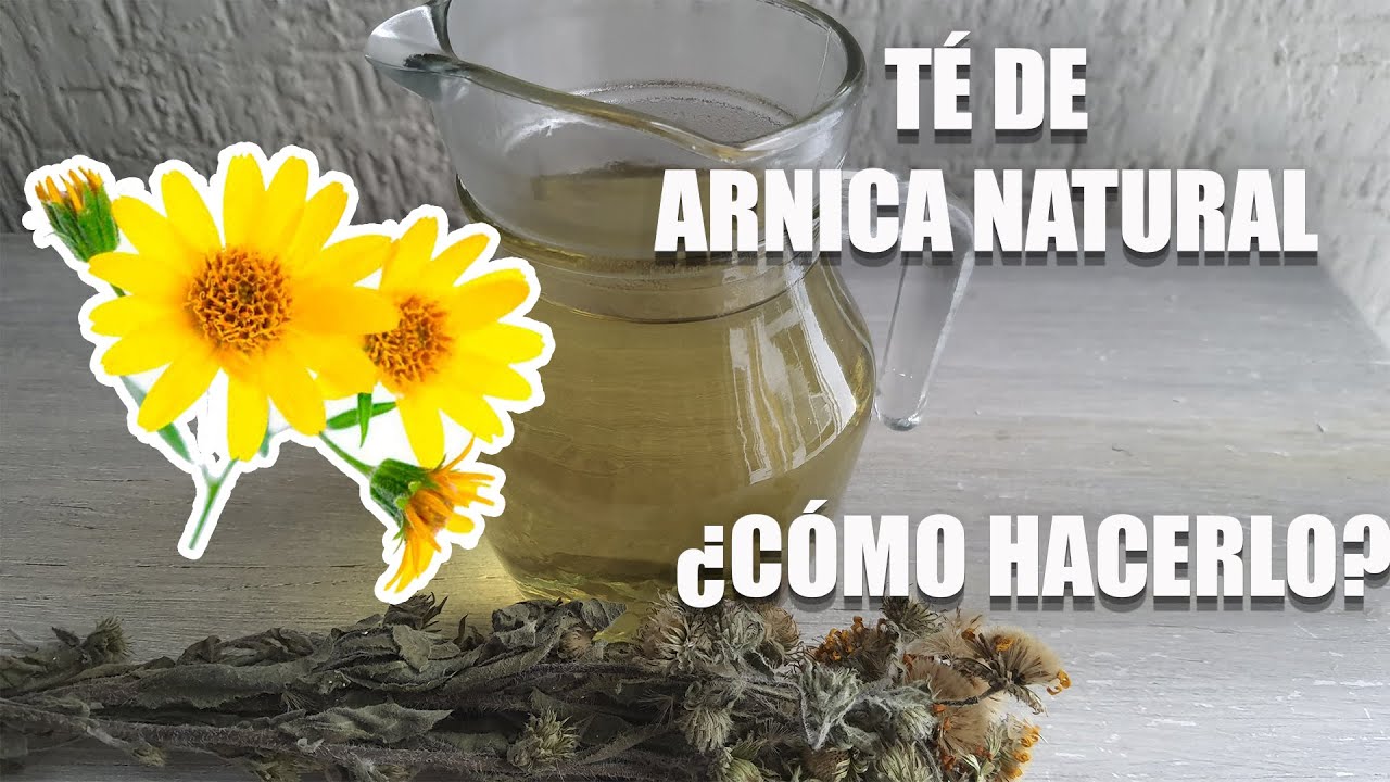 TÉ DE ÁRNICA ¿CÓMO HACERLO? - YouTube