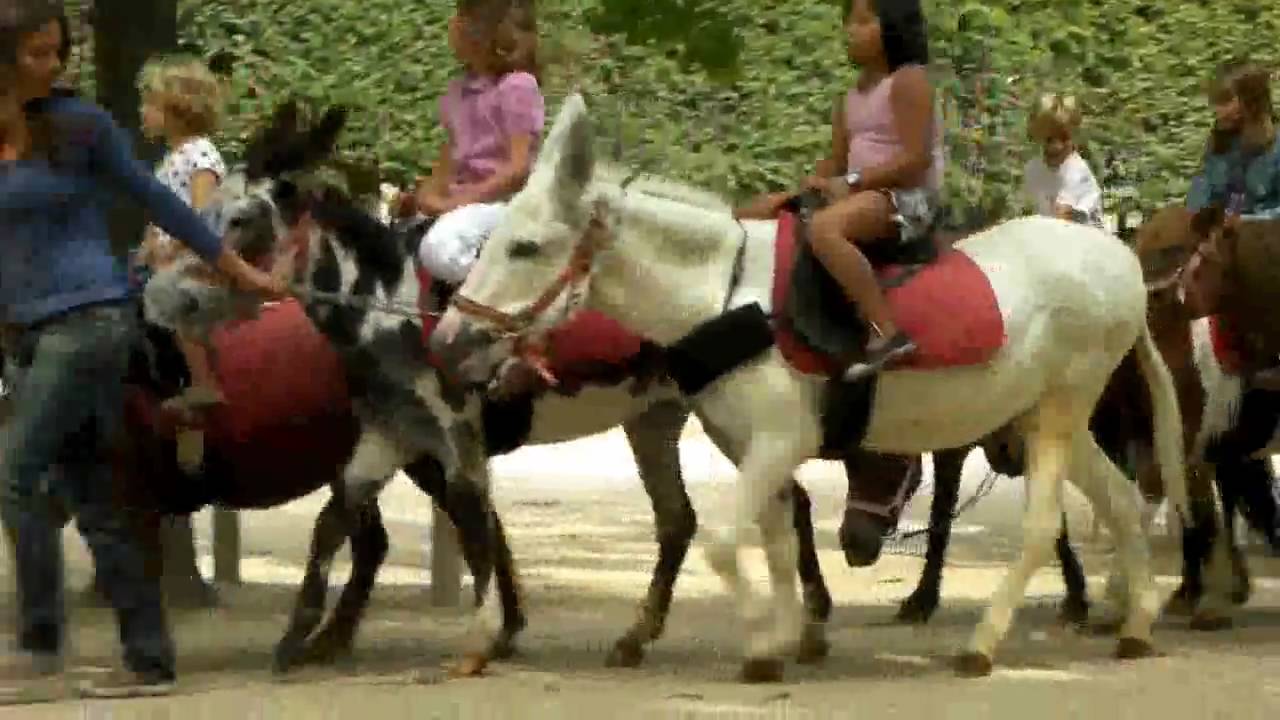Pony rides in Jardin des Tuileries, Paris, France - YouTube