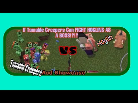 Tamable Creepers Can Kill Hoglins As A Beast!!!- [Minecraft Mod ...