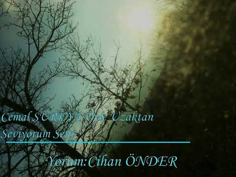 Cemal Süreya- Öyle Uzaktan Seviyorum Seni