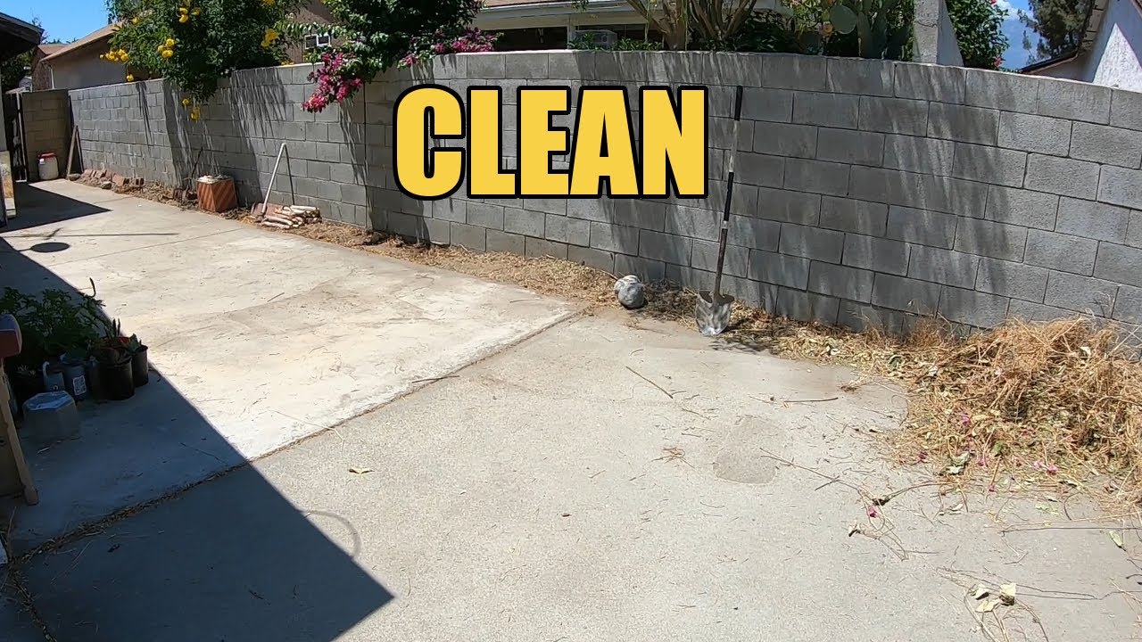 Cleaning a messy back yard: part 1 - YouTube