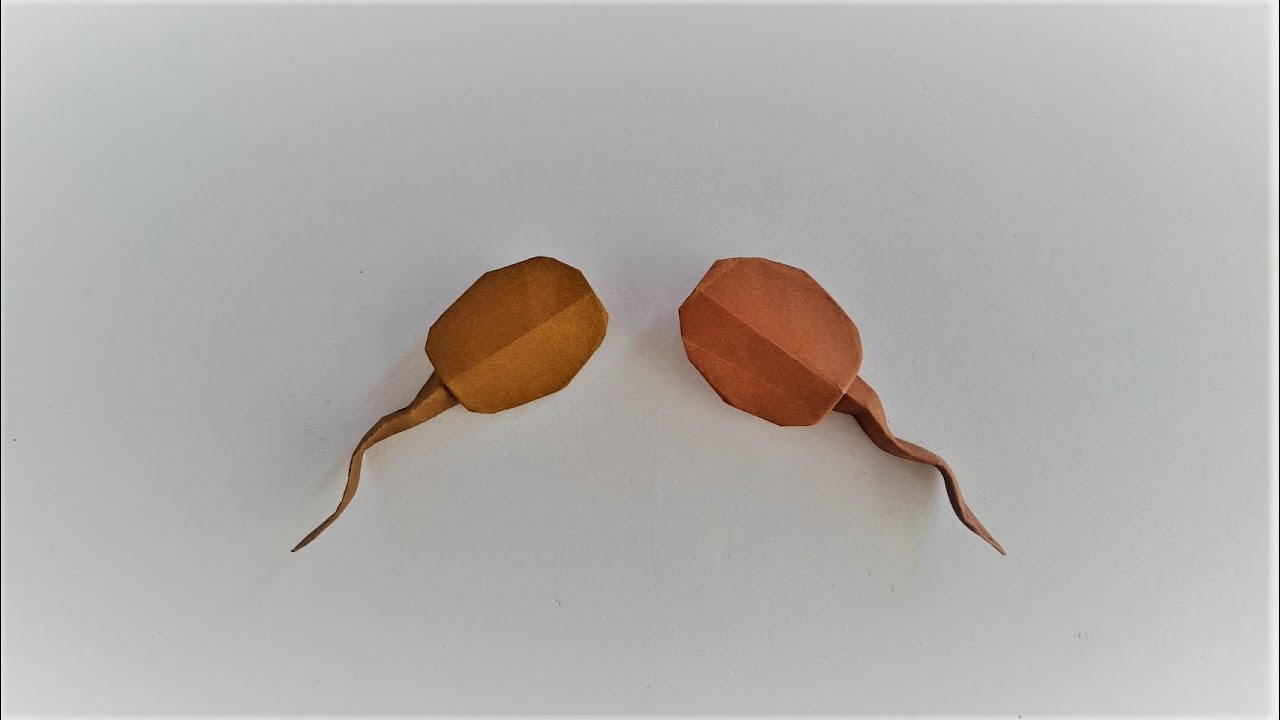 折纸 蝌蚪、origami tadpole、พับกระดาษ ลูกอ๊อด、종이 접기、折り紙、 Paper art DIY - YouTube