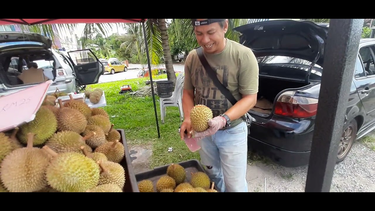 DURIAN HARI INI MK D13 D2 D15 MANTAP BOSS - YouTube