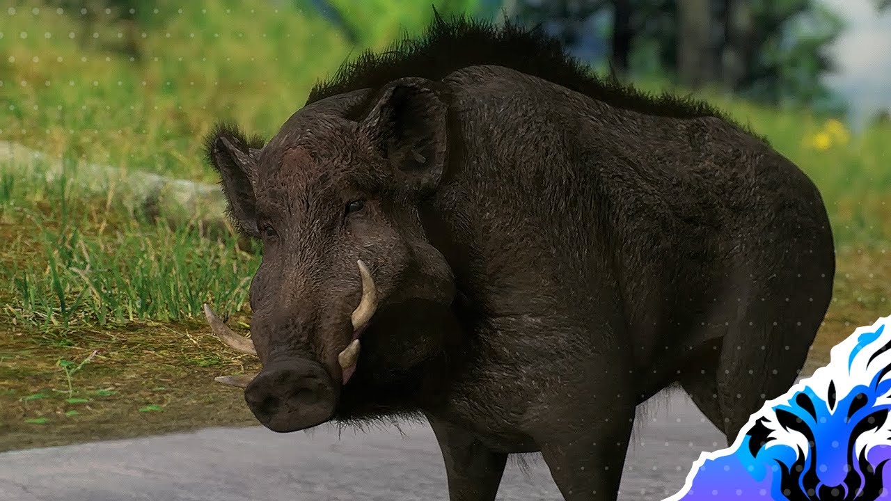 Wild Boar Claims the Road ~ Accident (Part 2) - YouTube