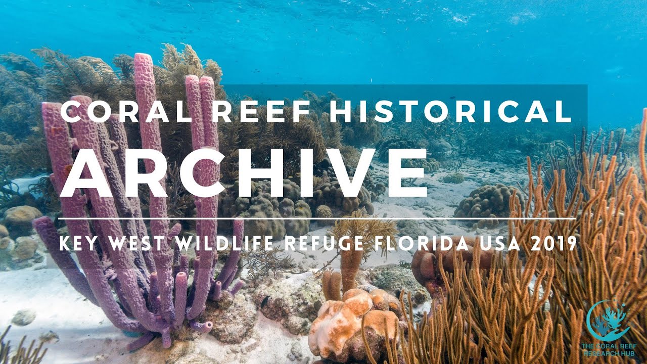 Coral Reefs in USA Key West Wildlife Refuge Florida Historic Archive ...