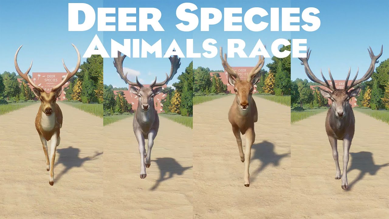 Deer Species Animals Speed Race in Planet Zoo included European Fallow ...