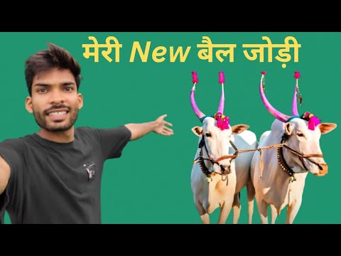 Meri New Bail Jodi 🐂🤩 | Bail Pola #vlog #trending #comedy - YouTube
