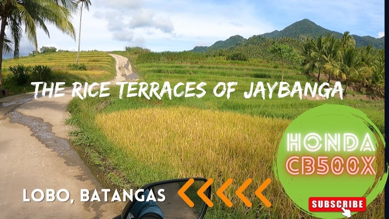 Rice Terraces of Jaybanga, Lobo, Batangas/ Dangerous Zigzag Road/ 2022 ...