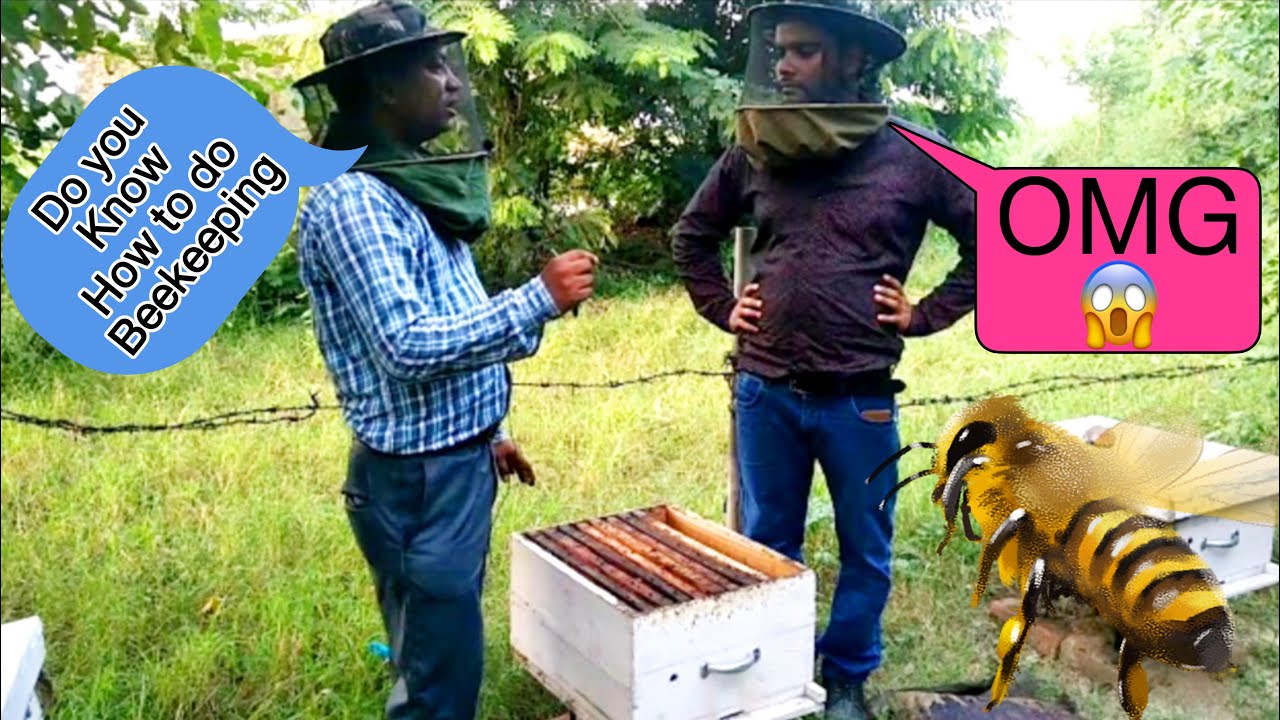 Beekeeping (मधुमक्खी पालन) - YouTube