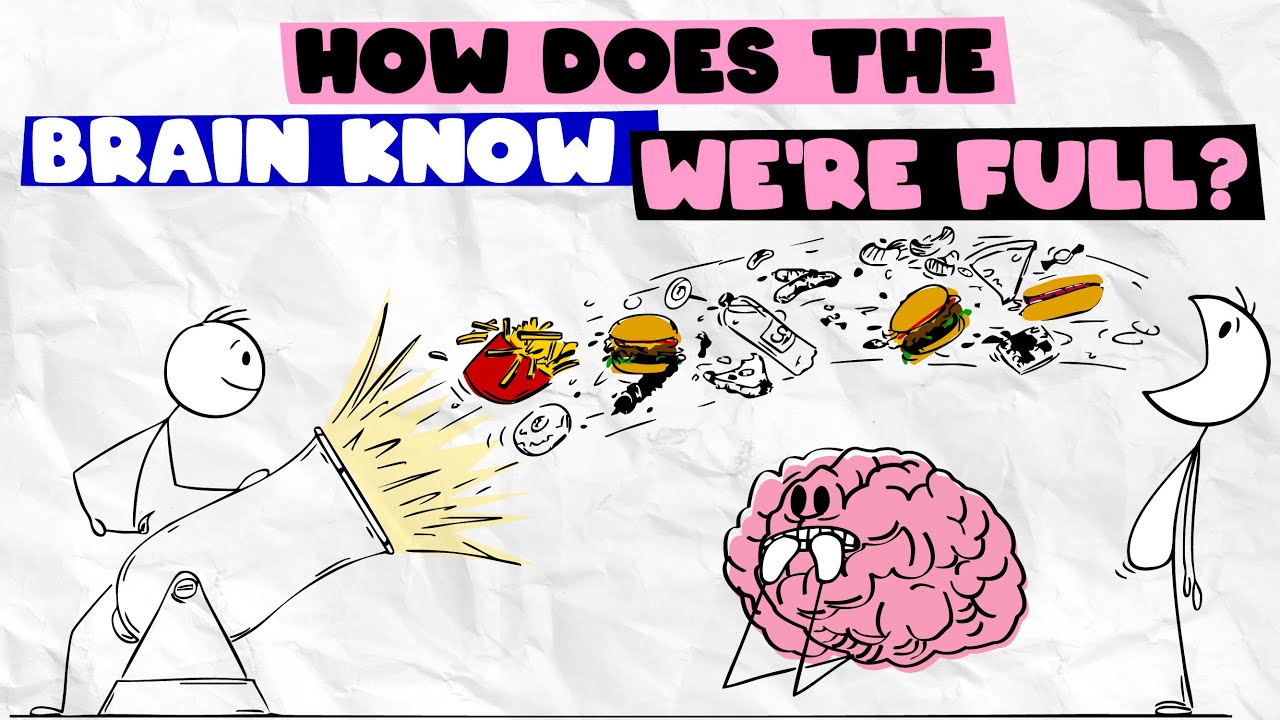Why Do We Keep Eating When We’re Full? 🍔🤯 | The Crazy Science of Hunger ...