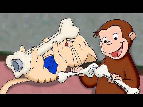 Dinosaurierknochen sind nicht zum Spielen da! | Coco der Neugierige | Cartoons für Kinder