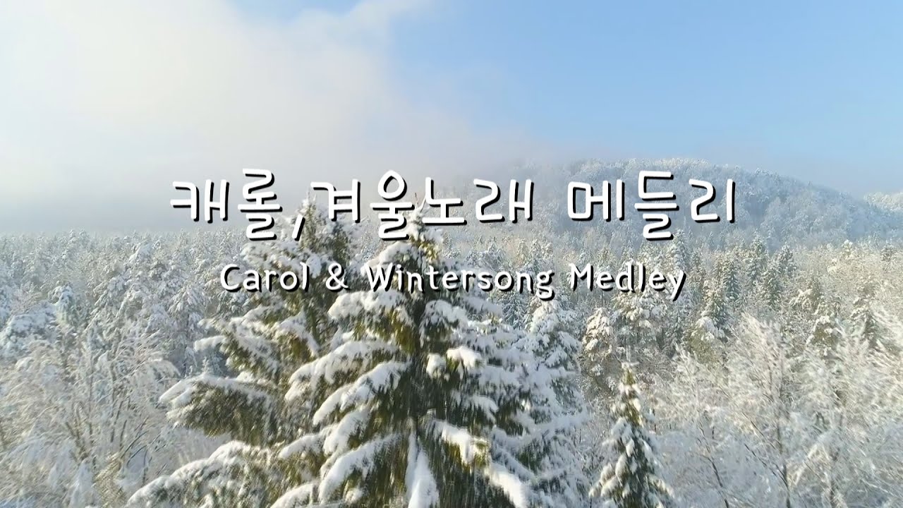 캐롤과 겨울노래 메들리 "Carol & Winter Song Medley" (박희정) - YouTube