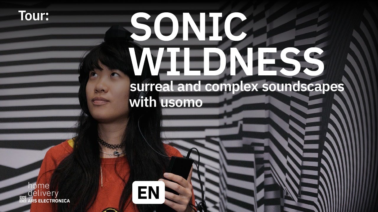 Sonic Wildness: surreal and complex soundscapes with usomo - YouTube