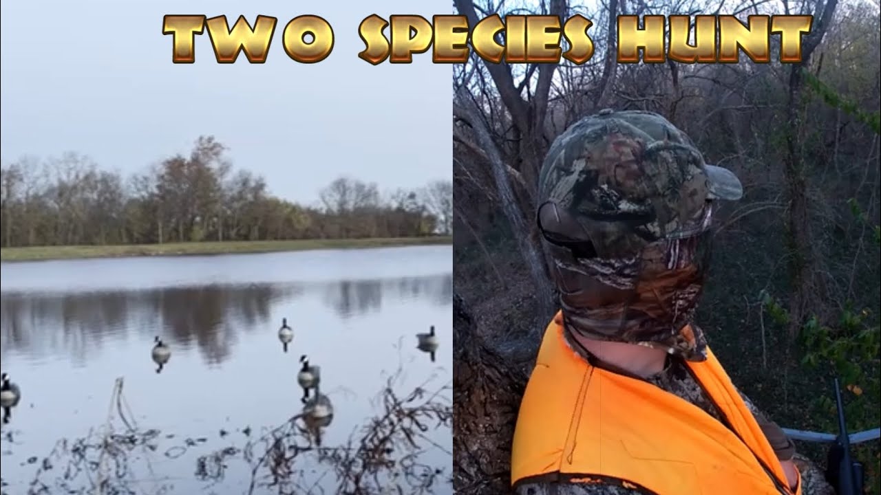 Two species hunt in one day - YouTube