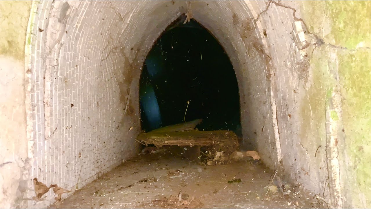 UNDERGROUND CRYPT - VIEW DOWN PORTAL (SHORT) The E. A. Fisher ...