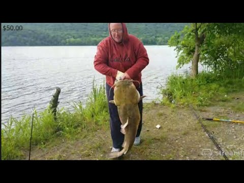 Catfish Queen! a few of Jackie's catfish from the last 18 months! - YouTube