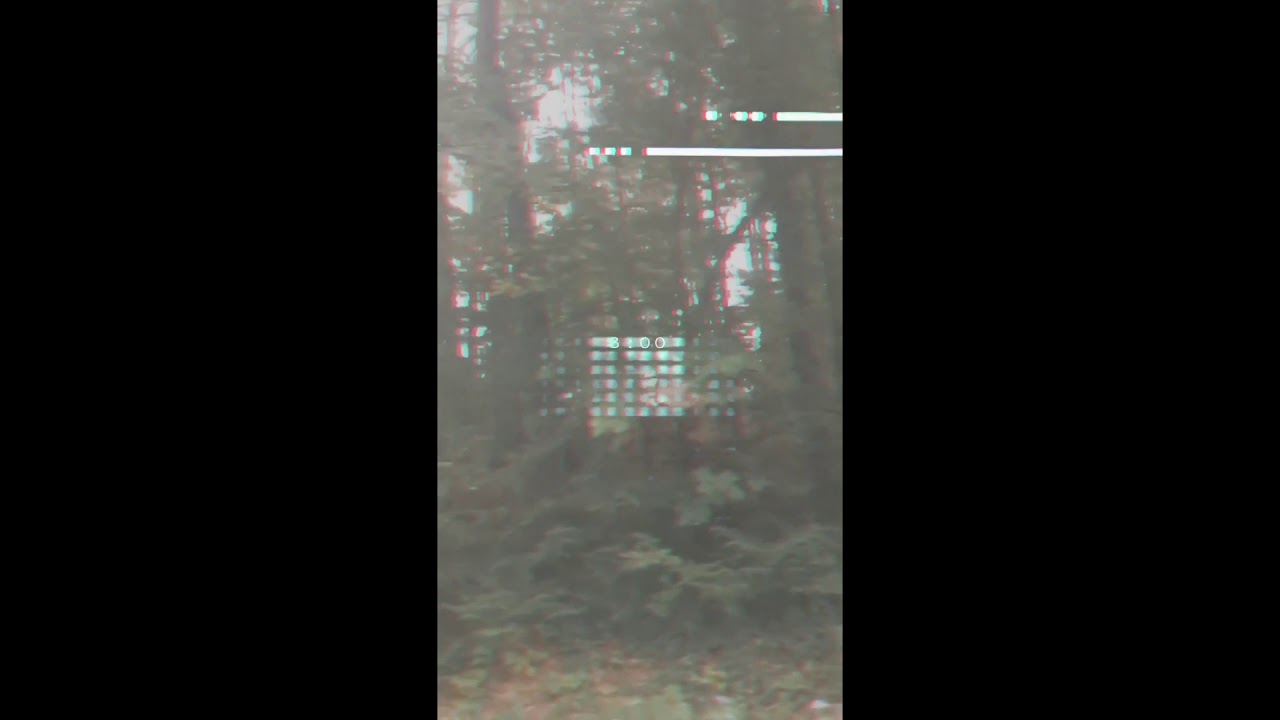 1979 - Smashing Pumpkins cover // Landon Dellinger - YouTube