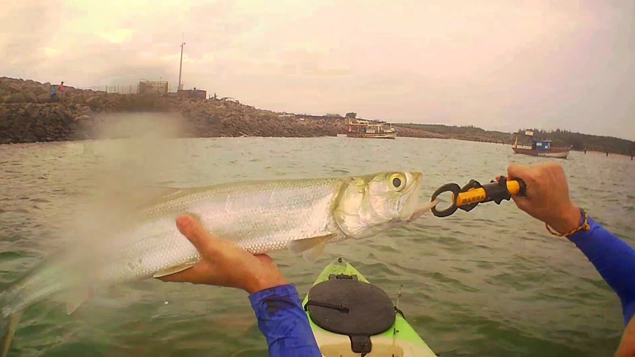 Pescaria de ubarana em Aracruz - YouTube