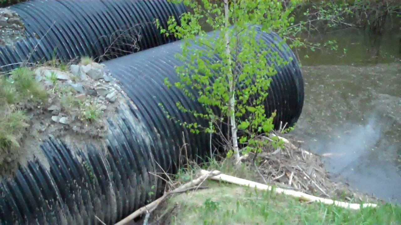 Beavers Lifting Culverts, Week 2 - YouTube
