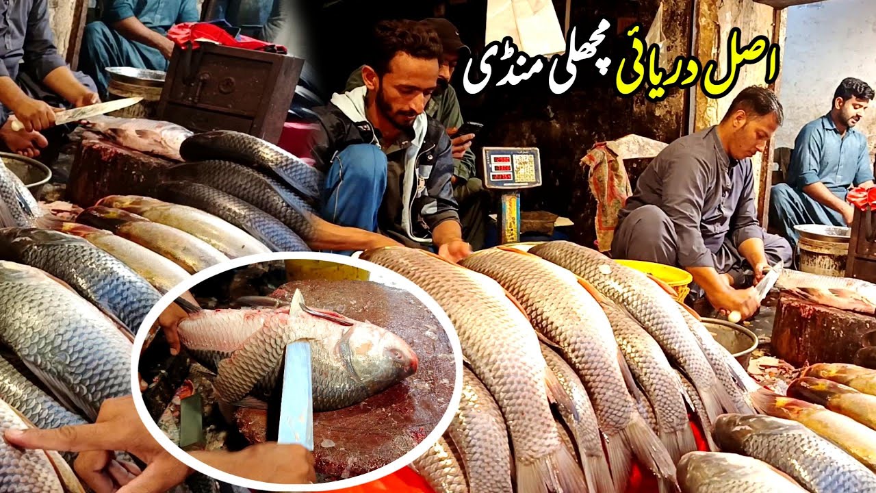 Famous original river fish of Pakistan Machli Mandi Wholesale shop in ...