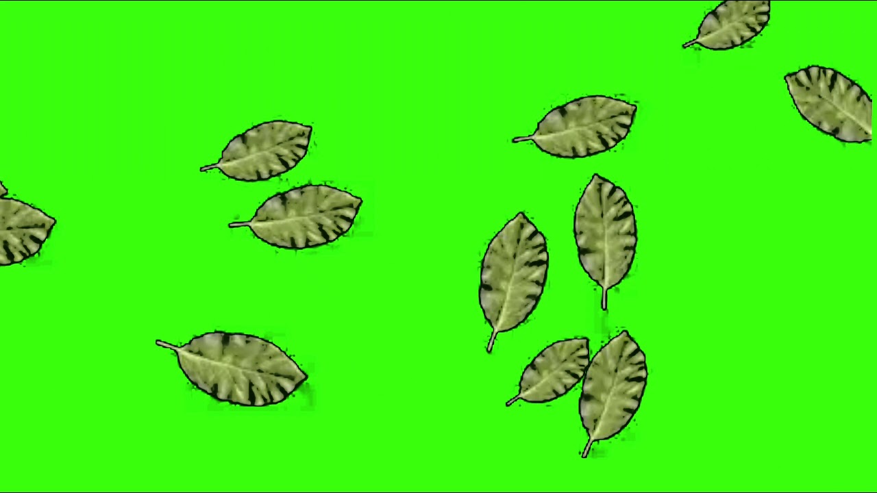 Green screen | Autumn leaves fall | Video background | Animation ...