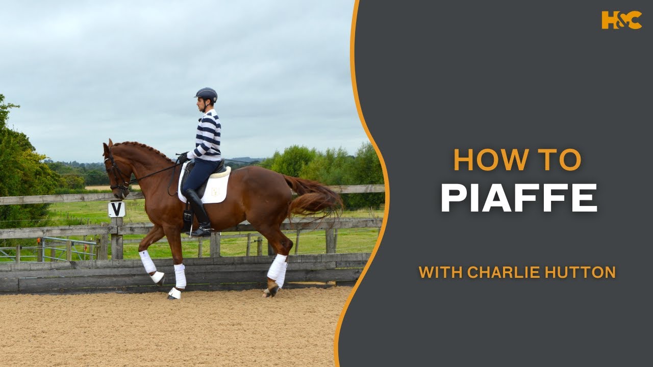 How To Piaffe with Charlie Hutton | H&C Masterclass - YouTube