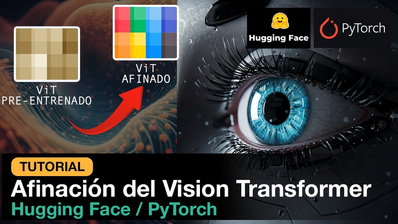 Tutorial: AFINACIÓN DEL VISION TRANSFORMER - YouTube