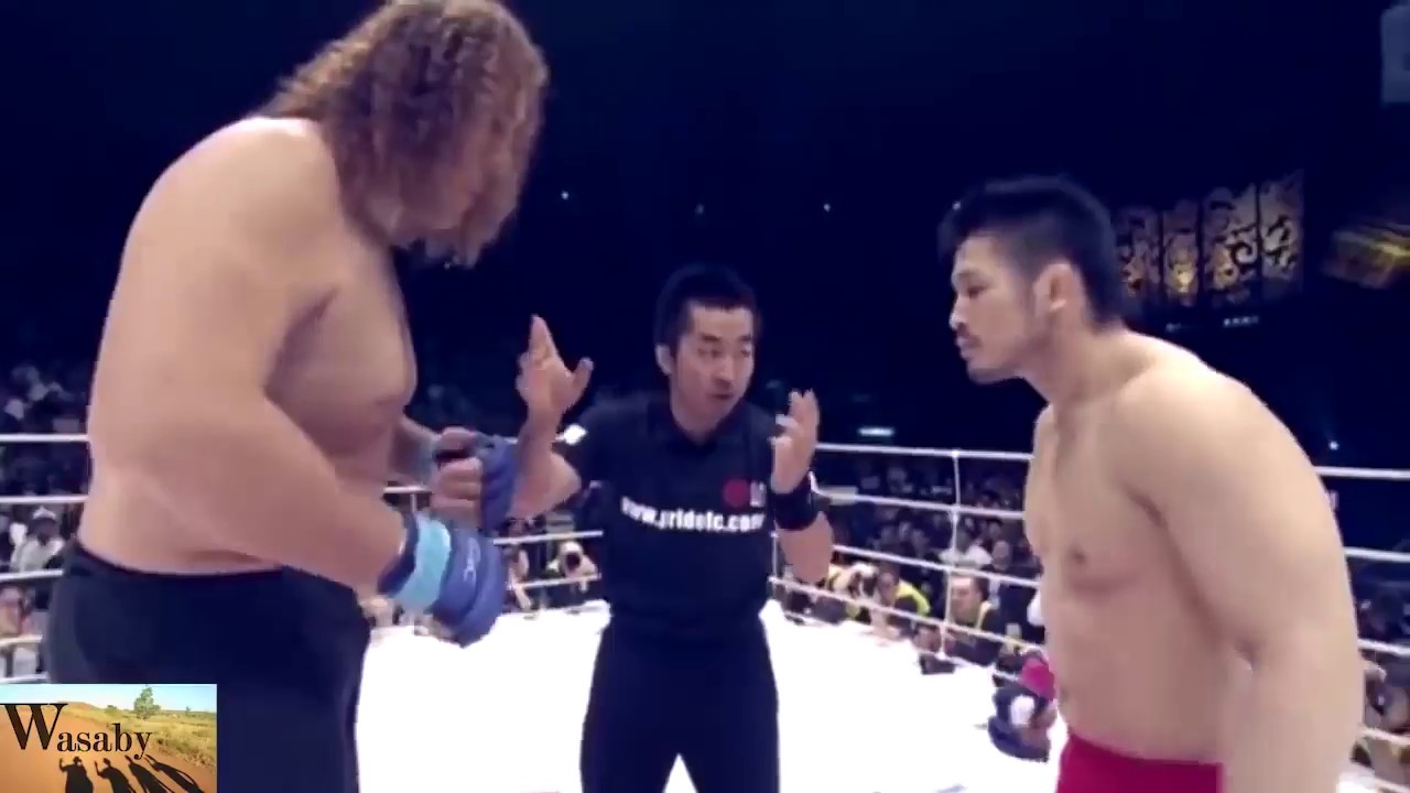 Top 20 Small vs Big Fighters knockouts in MMA - YouTube