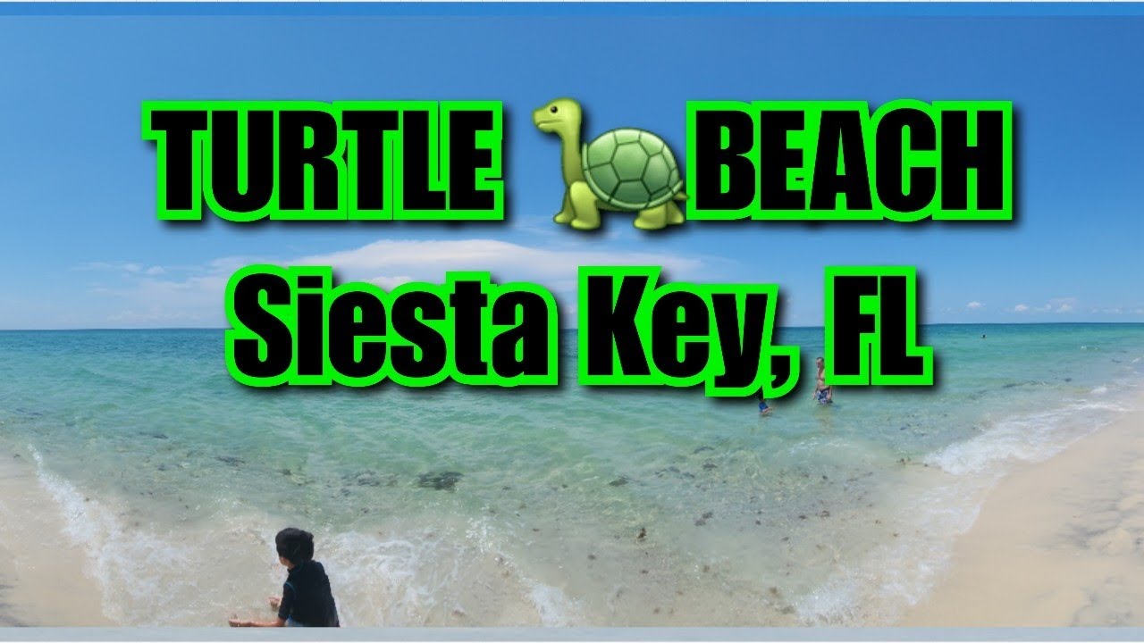 Turtle Beach-Siesta Key @ Sarasota FL| Fun Day in the 🌞, worth a visit ...