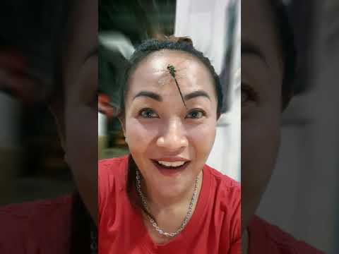 Mamah BinTar buka bukaan😵😵😵😂