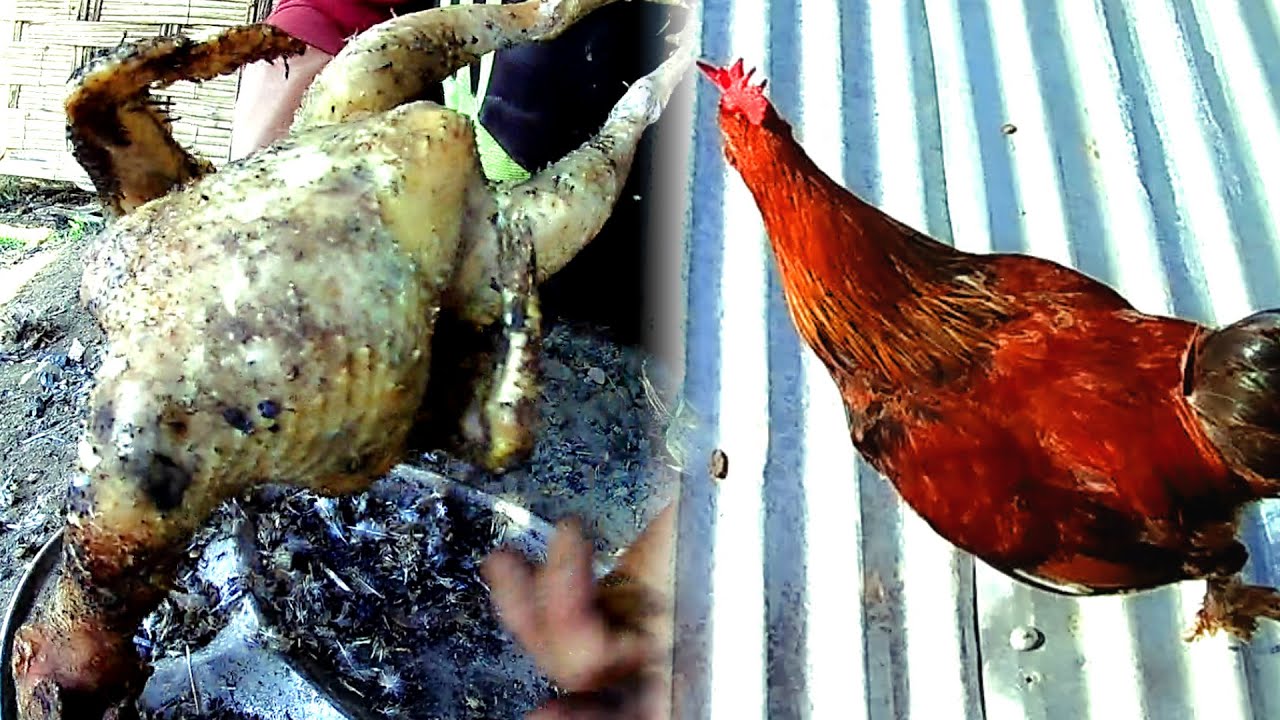 Local style to cook Local Chicken in the village - YouTube