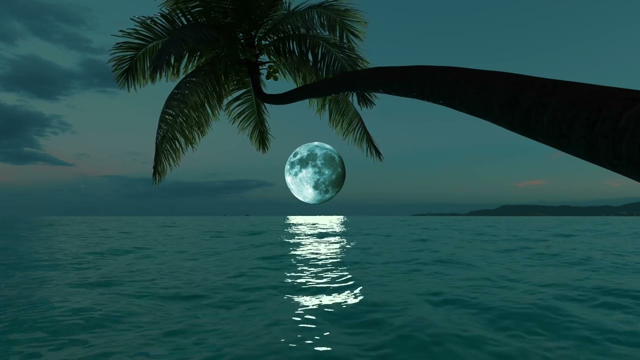 Calming Ocean Waves Sounds At Night For Deep Sleep Youtube