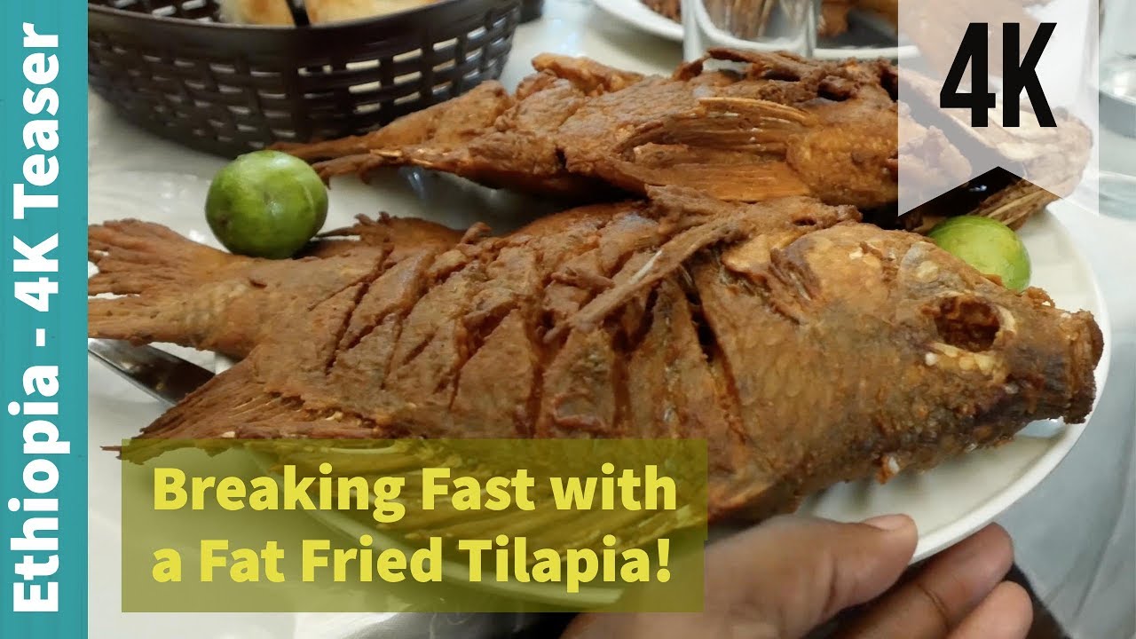 Breaking Fast with a Fat Fried Tilapia! | Minute Meal | Addis Ababa ...