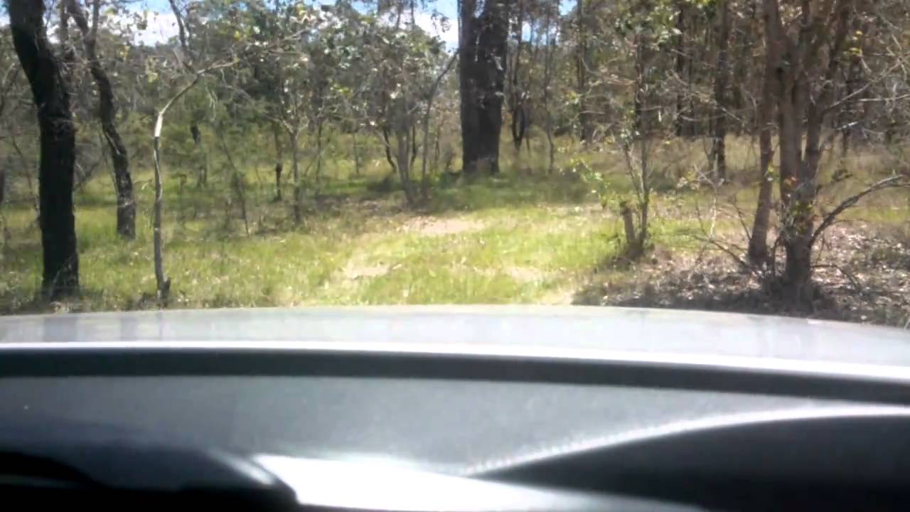 Toyota Rukus (Scion XB/Corolla Rumion) off road - YouTube