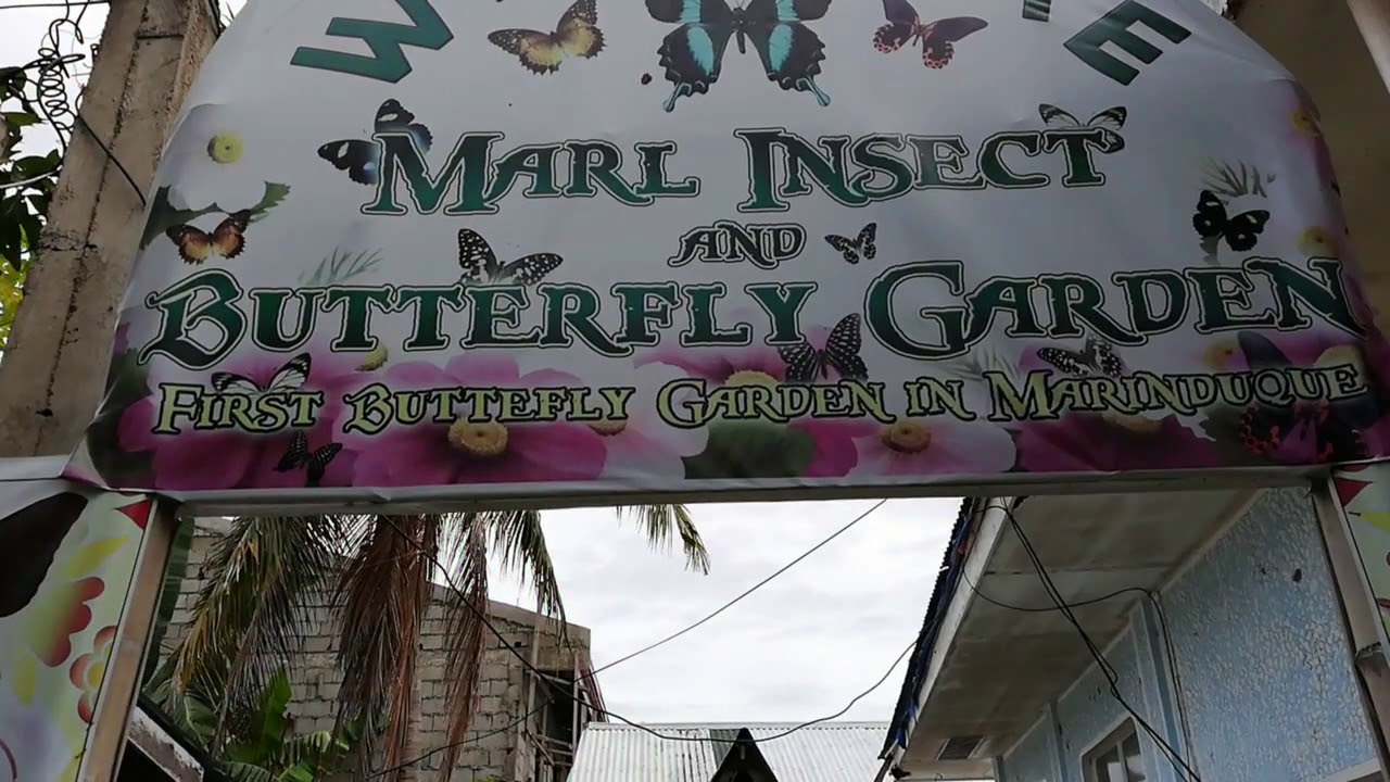 Marl Insect And Butterfly Garden #Marinduque - YouTube